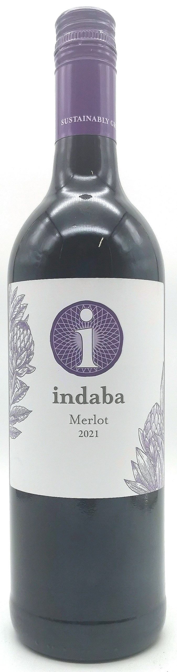 CAPE HEIGHTS MERLOT 2021 - Great Grog